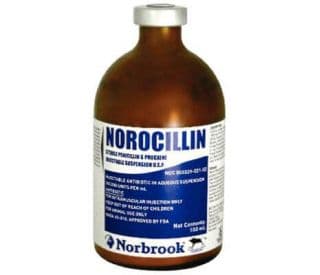 Norocillin Injection | Santa Cruz Animal Health