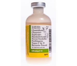 Ultrabac® 8 | Santa Cruz Animal Health