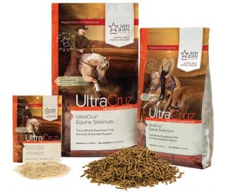 Selenium Supplement for Horses – UltraCruz® | Santa Cruz Animal Health