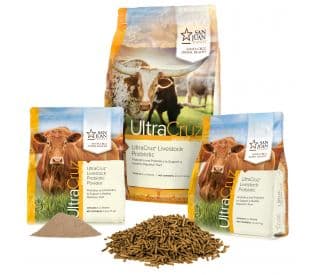 Probiotics for Cattle, Goats, Sheep and Pigs – UltraCruz® | Santa Cruz ...