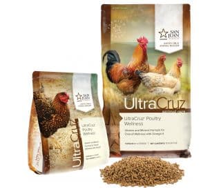 Wellness Vitamin and Mineral Supplement for Chickens– UltraCruz ...